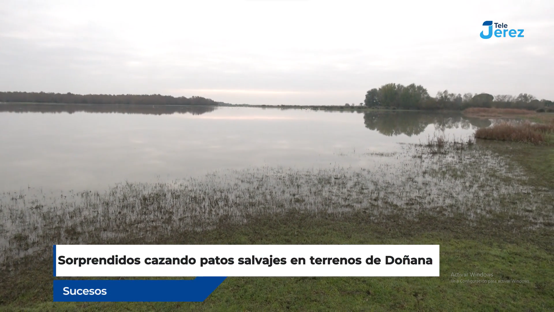 Sorprendidos cazando patos salvajes en terrenos de Doñana - Telejerez